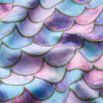 Softshell Fabrics by the metre | Wide selection | myfabrics.co.uk